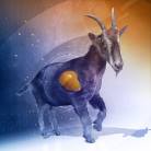 Diarrhea in Neonatal Ruminants - Digestive System - Merck Veterinary Manual