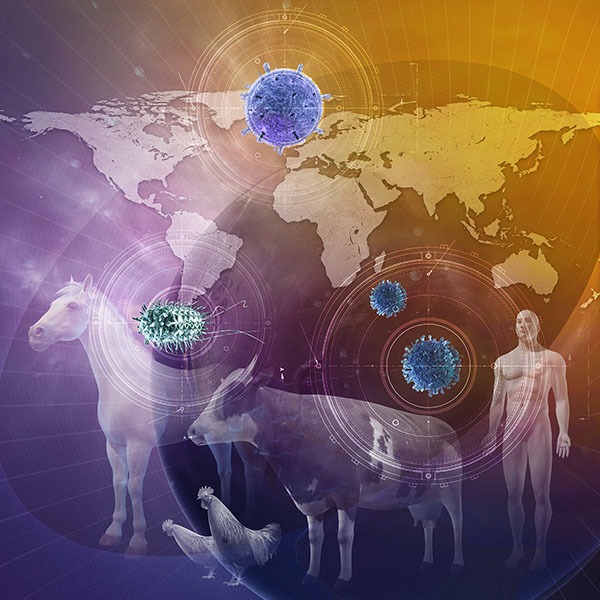 Zoonotic Diseases - Public Health - Merck Veterinary Manual