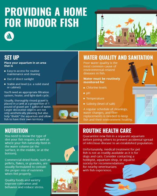 rules for fish tanks