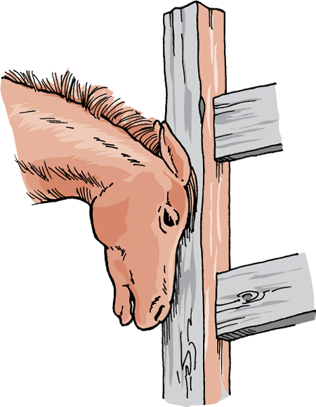 equine encephalomyelitis eastern