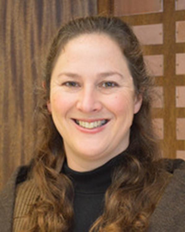 Allison J. Stewart, BVSc (Hons), PhD, DACVIM-LAIM, DACVECC | Author ...