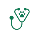 Immunomodulators for Integumentary Disease in Animals ...
